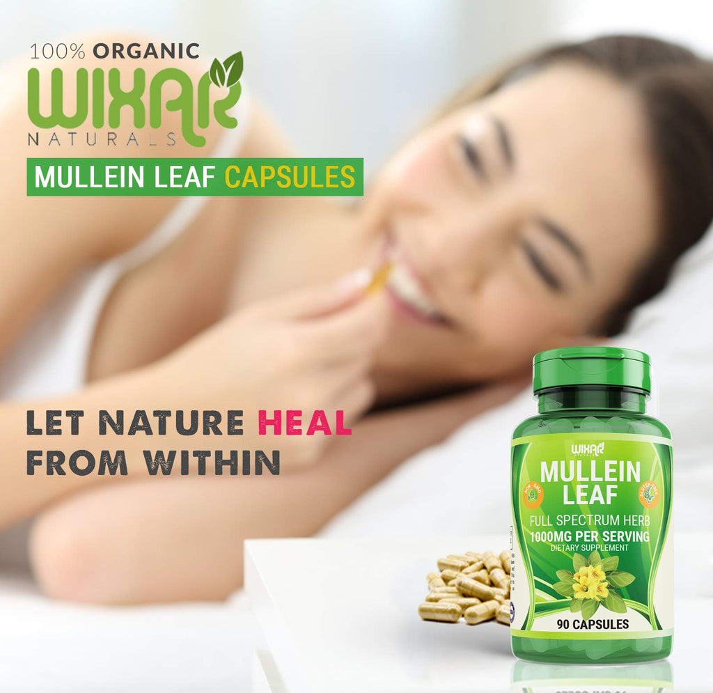 mullein oil for ear health