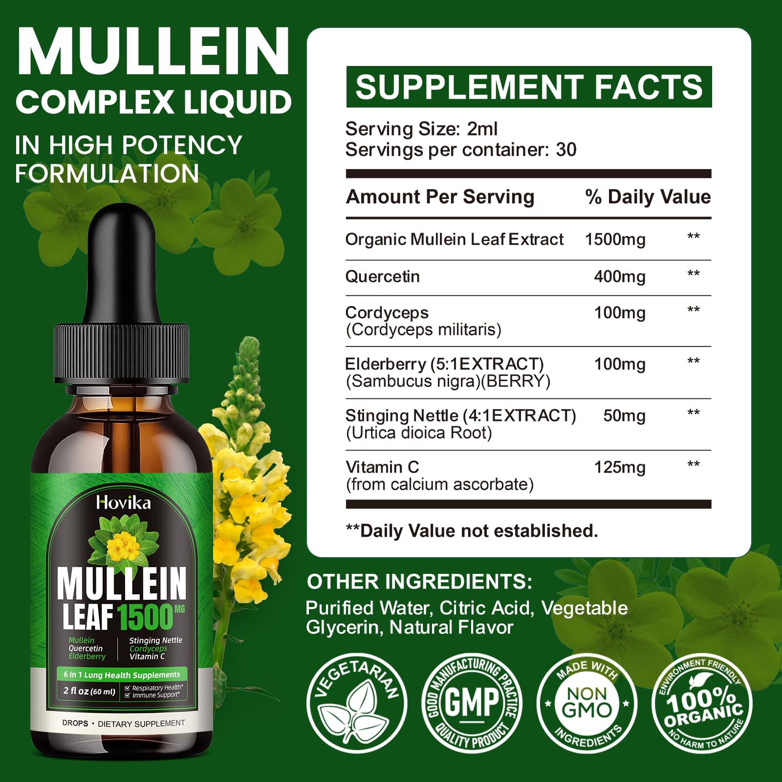 mullein oil for ear health