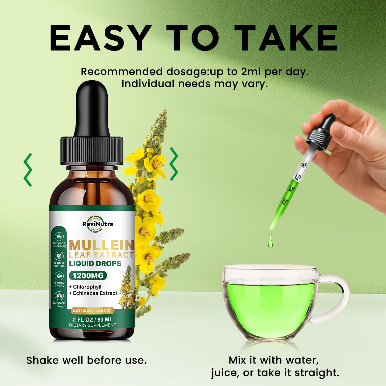 mullein oil for ear health