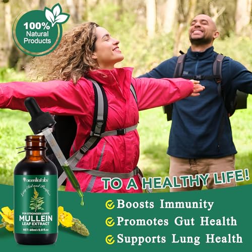 mullein oil for ear health
