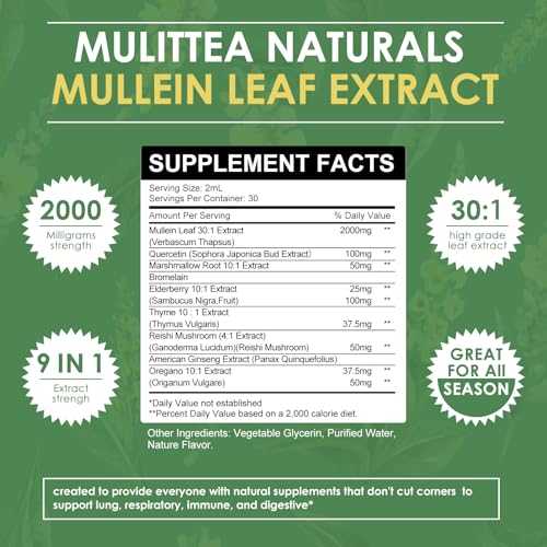 mullein oil for ear health