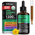 Mullein organic leaf extract drops