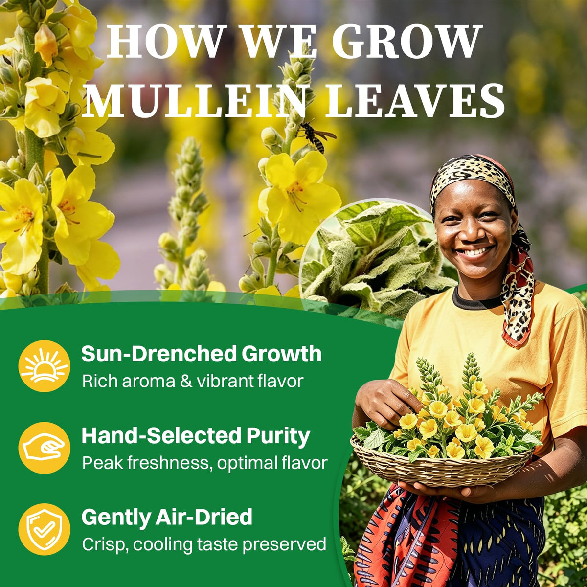 Mullein tea bags for daily detox