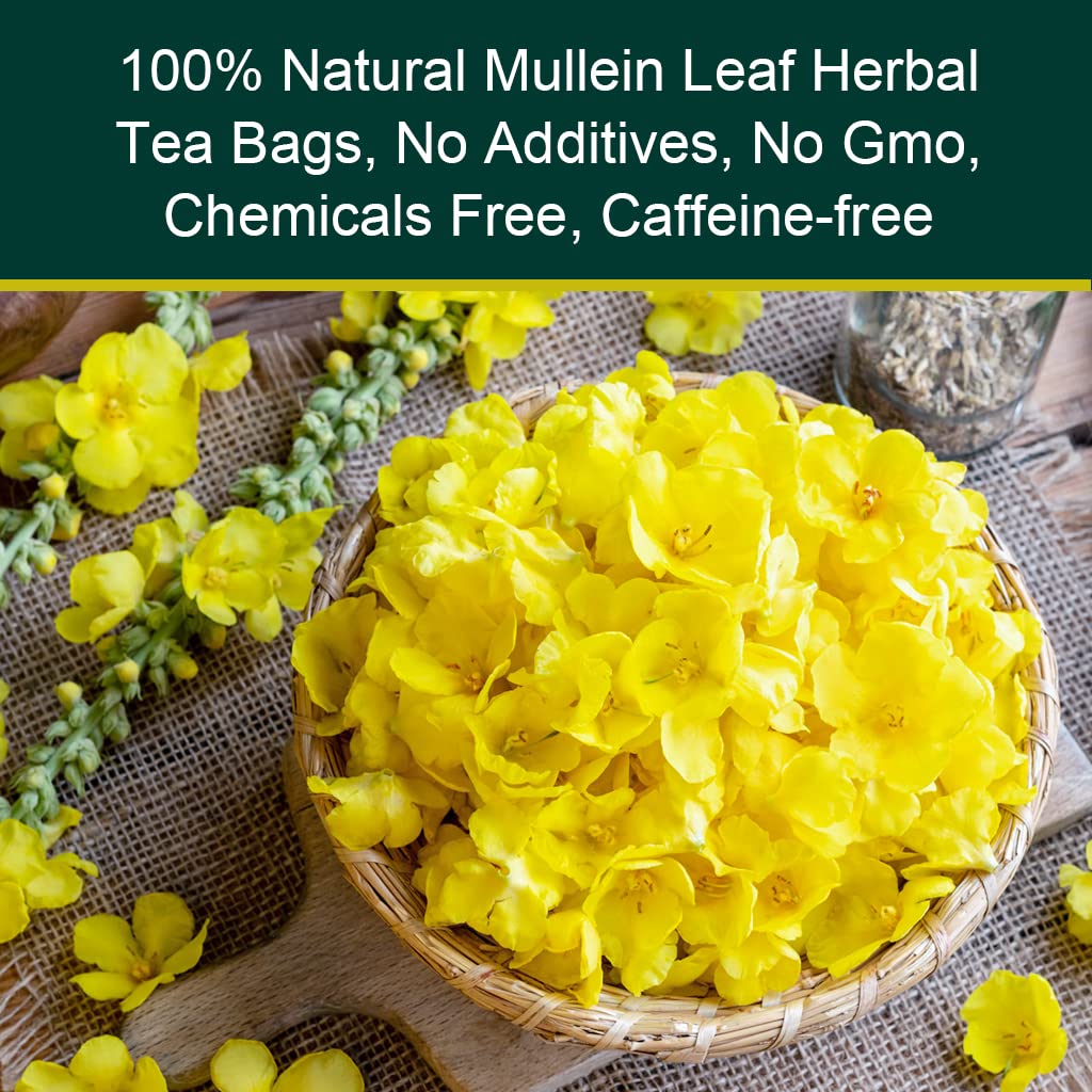 mullein tea for immune support