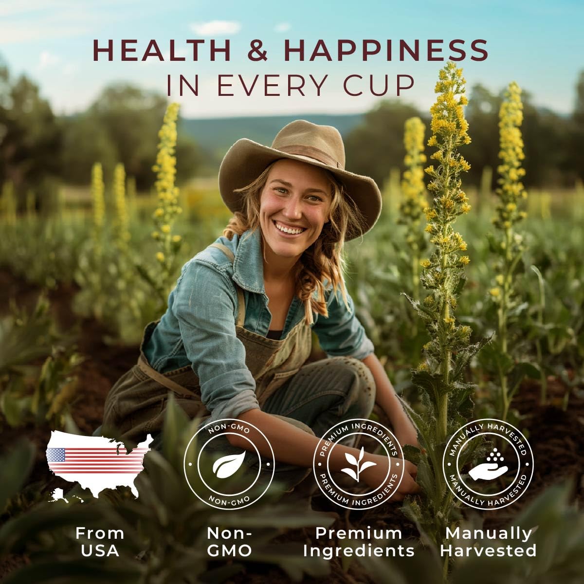 mullein tea for respiratory health
