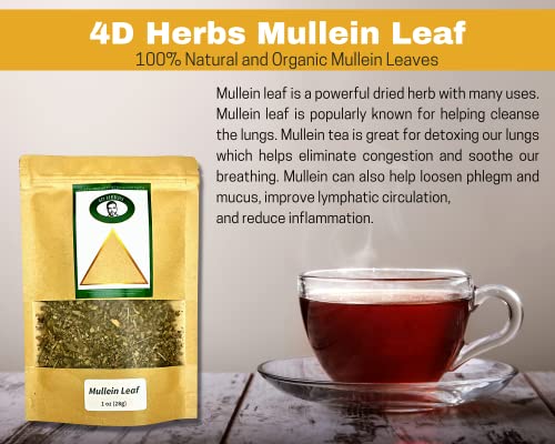 mullein tea for respiratory system support