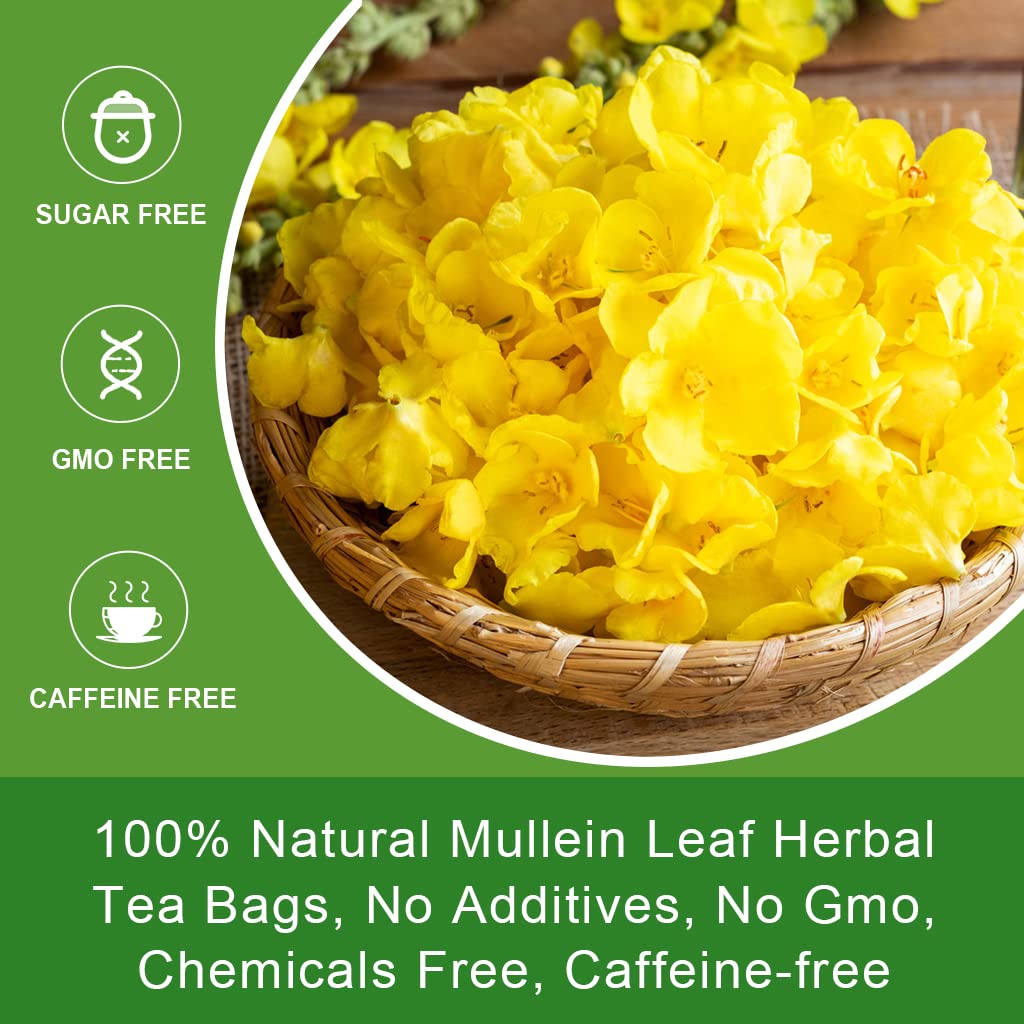 mullein tea for wellness