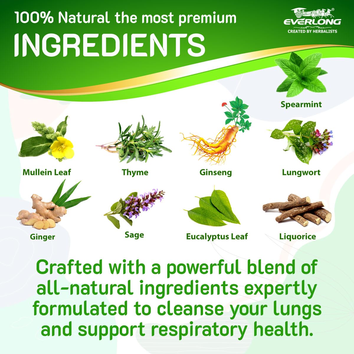 mullein tea with thyme benefits