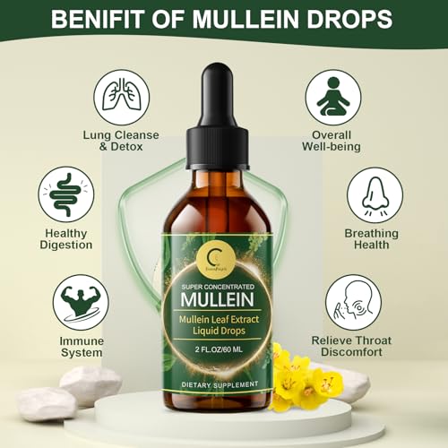 mullein tincture for detox benefits