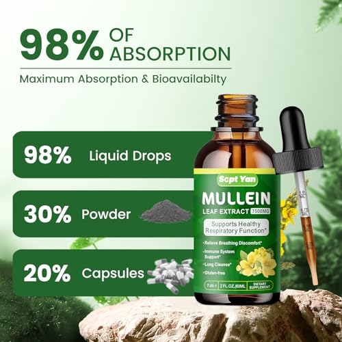 Mullein tincture for easy breathing