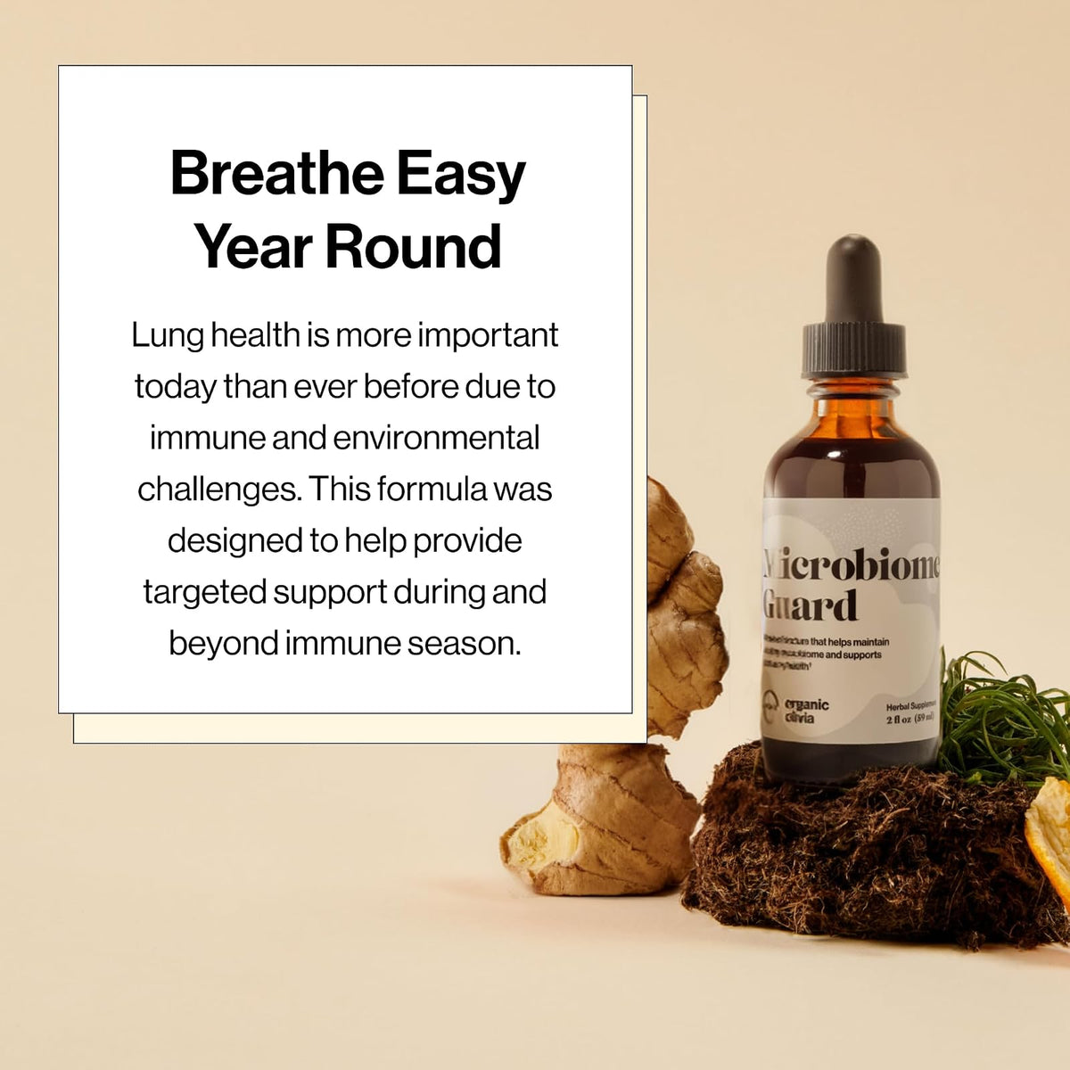 Mullein tincture for immune support