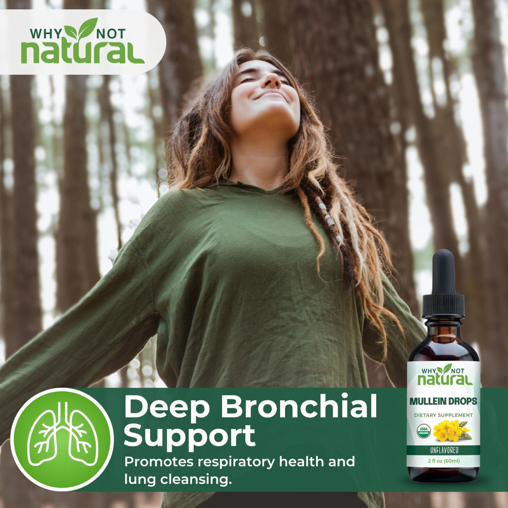 mullein tincture for immune support