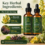 Mullein tincture for wellness