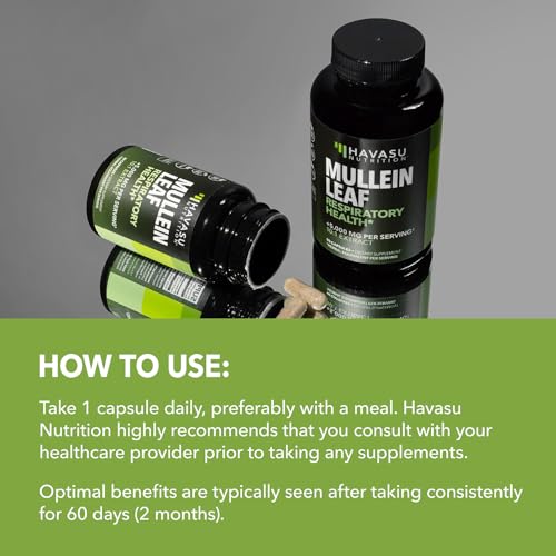 mullein tincture preparation guide