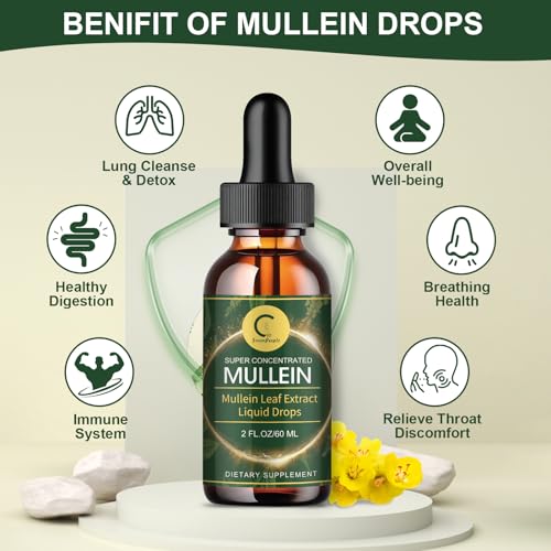mullein tincture preparation guide