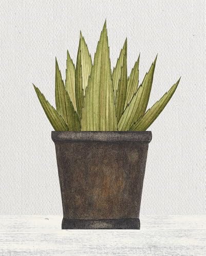 multi artwork for aloe vera lovers