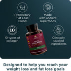 multi collagen for skin health