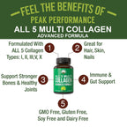 multi collagen peptides for healthy skin