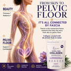 multi collagen peptides for skin health