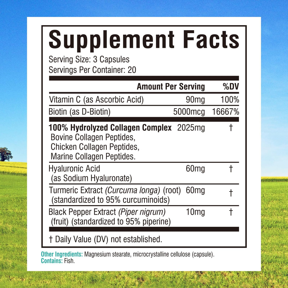 multi collagen peptides for skin health