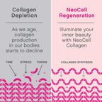 multi collagen powder benefits in chewable form