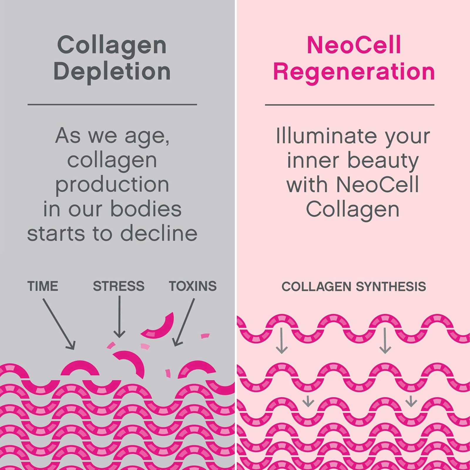 multi collagen powder benefits in chewable form