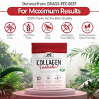 multi collagen powder benefits
