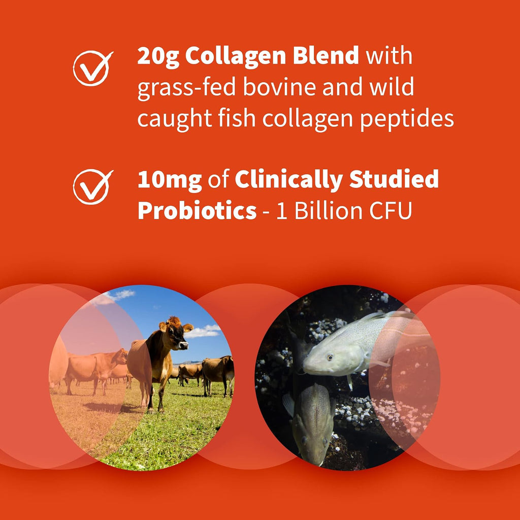 Multi collagen powder for beauty
