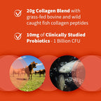 Multi collagen powder for beauty