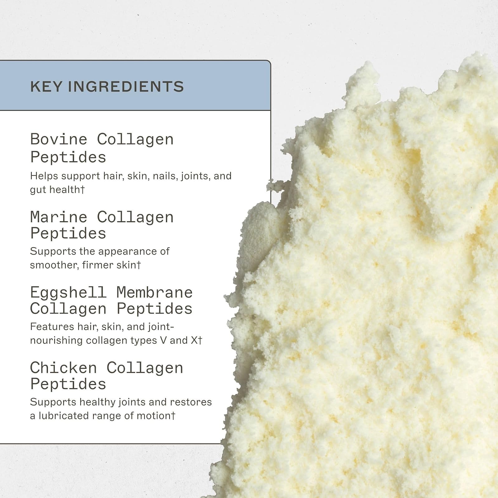 multi collagen powder for beauty