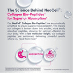 multi collagen powder for beauty