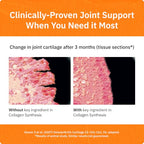 multi collagen powder for beauty