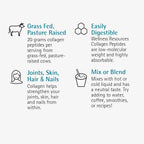 multi collagen powder for beauty