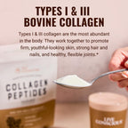 multi collagen powder for beauty