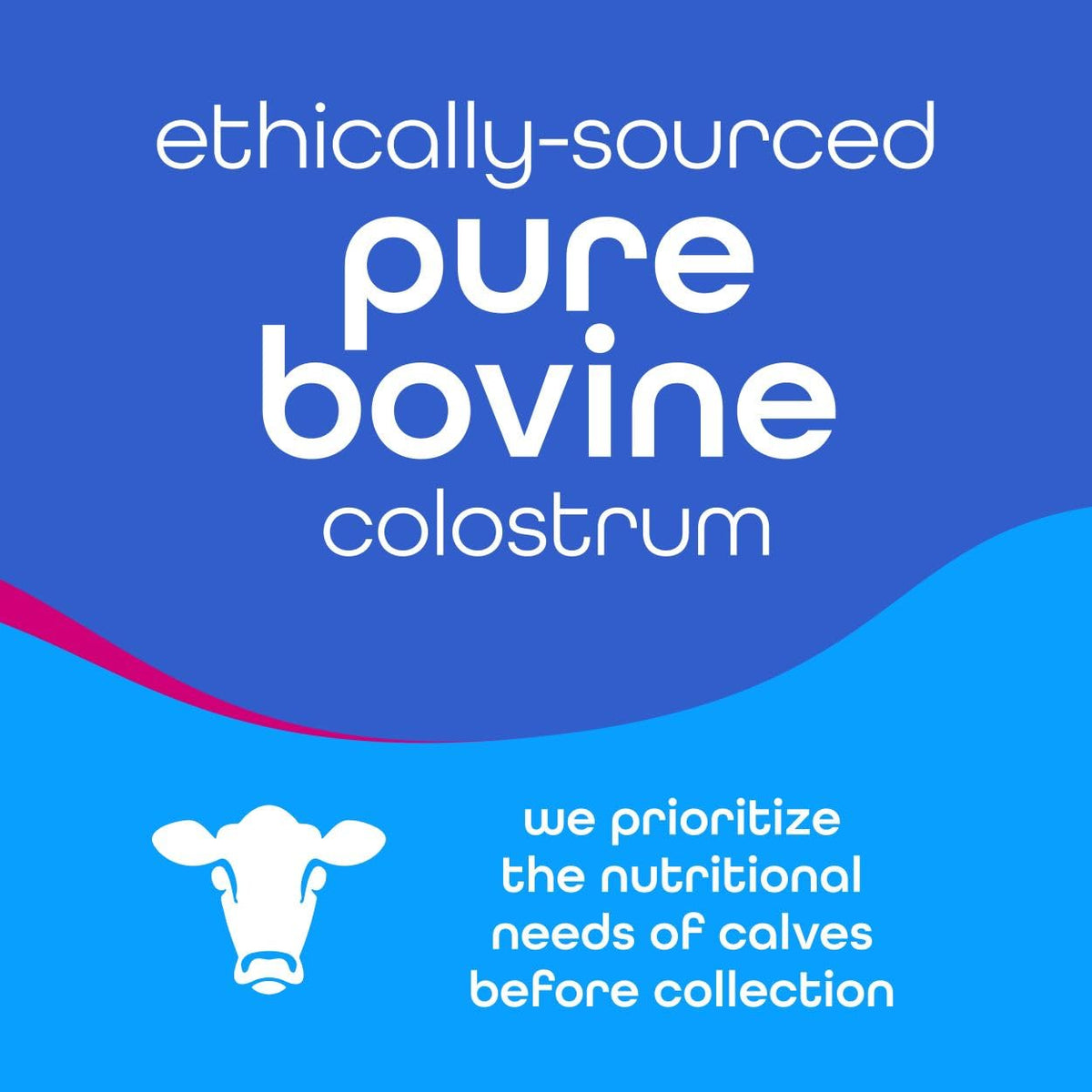 multi collagen powder for beauty
