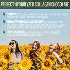 multi collagen powder for daily wellness