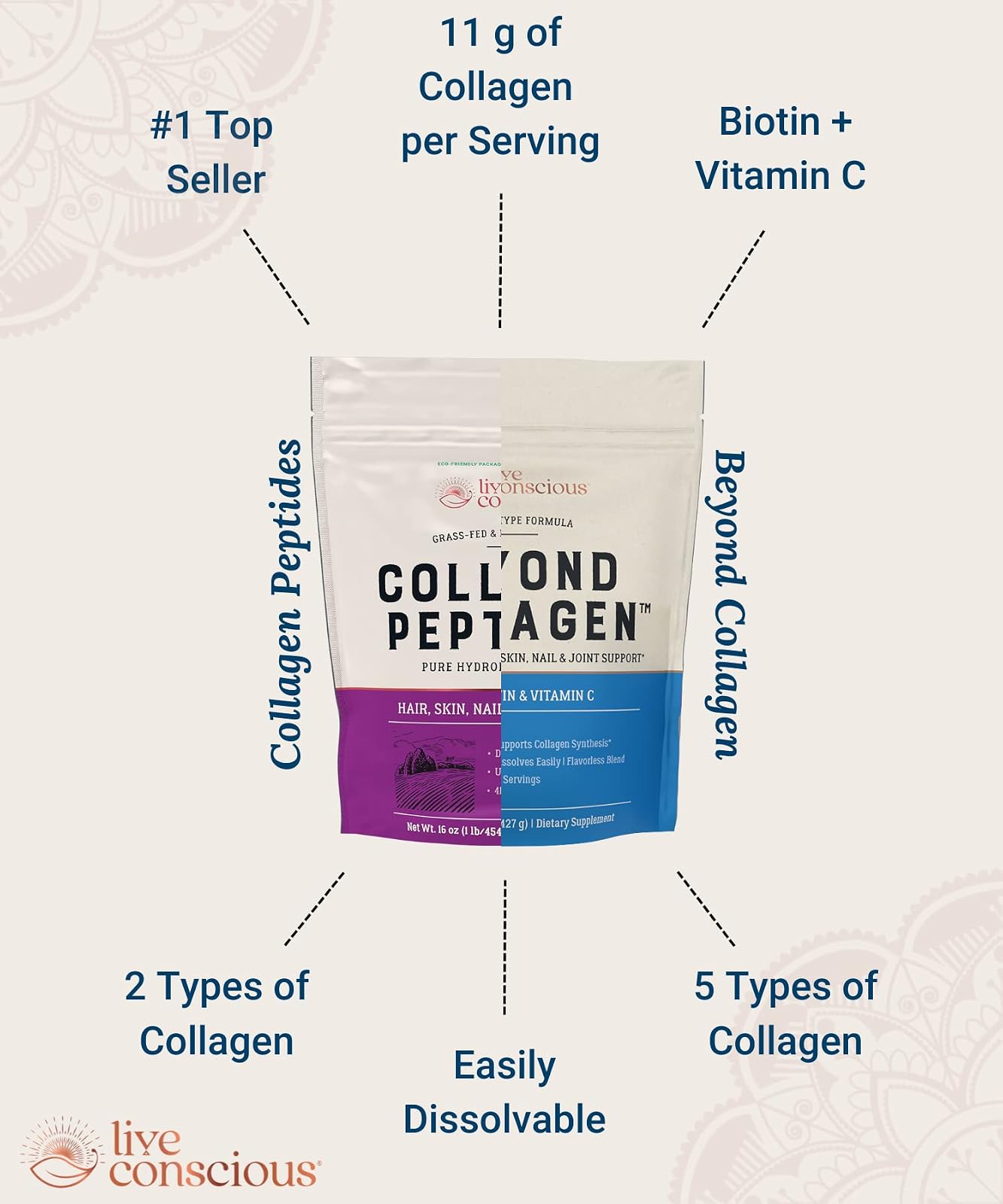 multi collagen powder for joint support