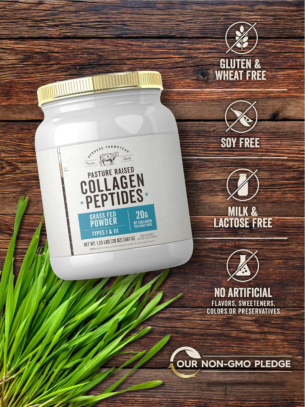 multi collagen powder for joint support