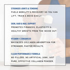 multi-collagen powder for joint support