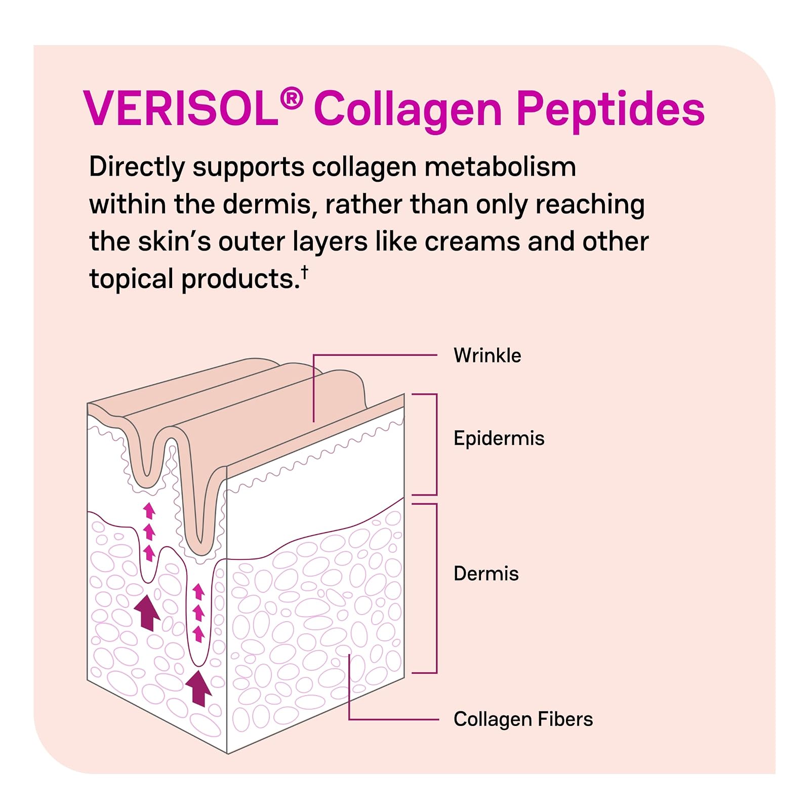 multi collagen powder for overall health