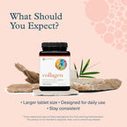 multi collagen powder for overall wellness