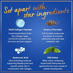 multi collagen powder for overall wellness