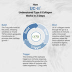 multi collagen powder for vitality