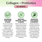 multi collagen powder for wellness