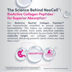 multi collagen powder for wellness