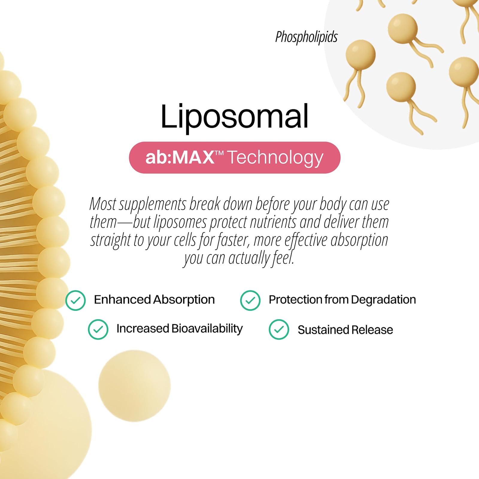 multi collagen powder for wellness