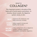 multi collagen powder with vanilla flavour