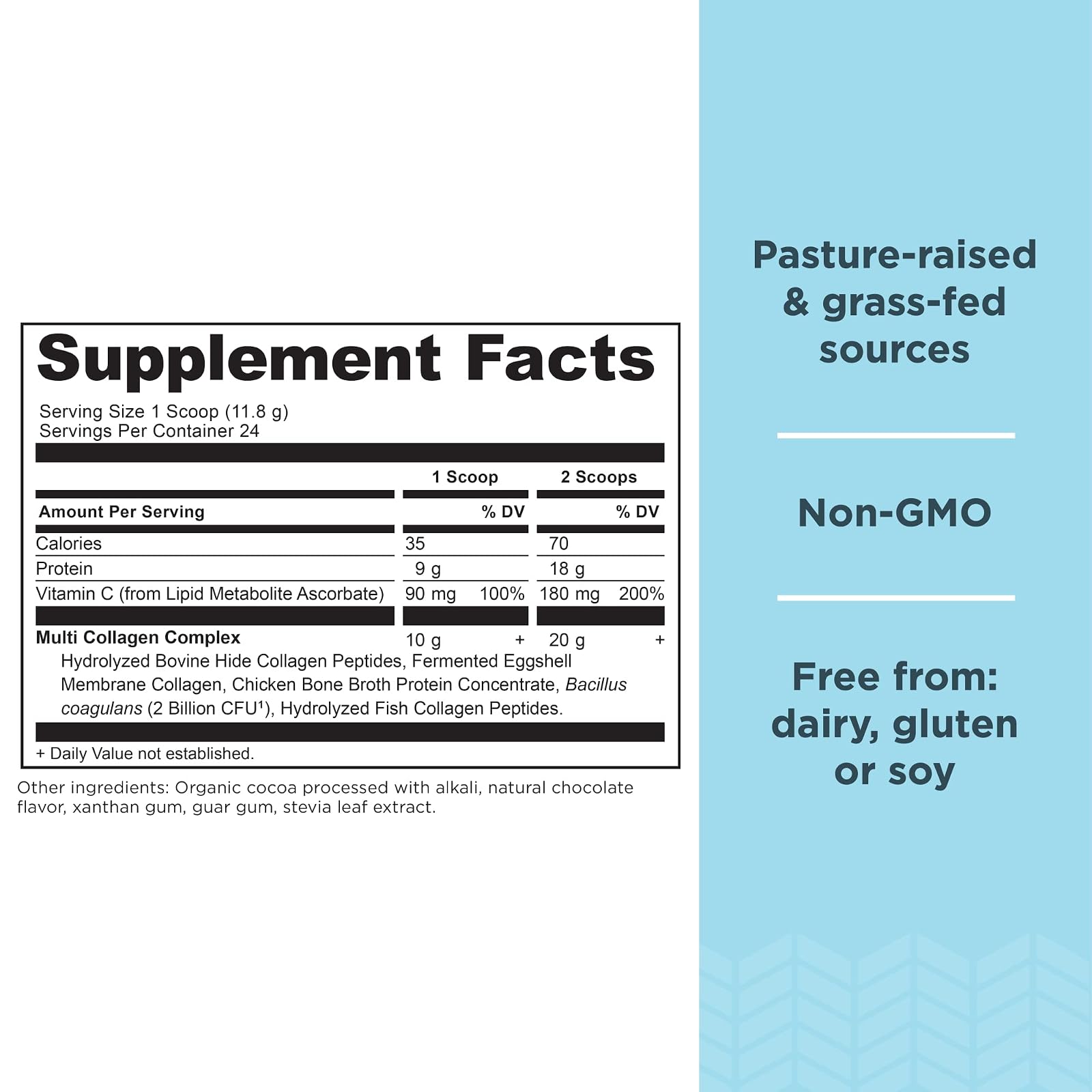 multi collagen protein for beauty