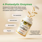 multi-enzyme formula for gut health