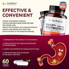 Multi enzymes for better nutrient absorption